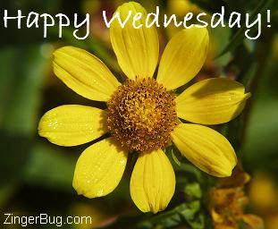 Happy Wednesday yellow flower photo Glitter Graphic, Greeting, Comment ...