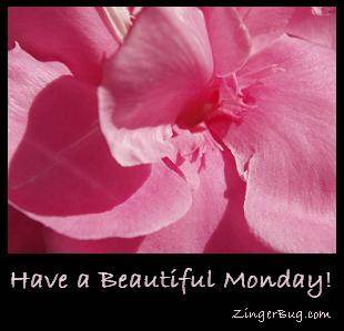 Have a Beautiful Monday Pink Flower Glitter Graphic, Greeting, Comment ...