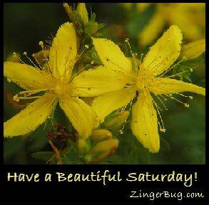 Have a Beautiful Saturday Yellow Flowers Glitter Graphic, Greeting ...