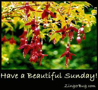 Have a Beautiful Sunday Yellow Red Flowers Glitter Graphic, Greeting ...