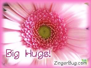 Big Hugs Pink Flower Glitter Graphic, Greeting, Comment, Meme or GIF