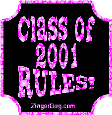 Class Of 2001 Rules Pink Bubbles Plaque Glitter Graphic Glitter Graphic ...