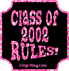 Class Of 2002 Rules Pink Bubbles Plaque Glitter Graphic Glitter Graphic ...