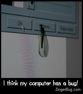 Computer Bugs Quotes