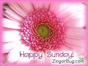 Happy Sunday Pink Flower Glitter Graphic, Greeting, Comment, Meme or GIF