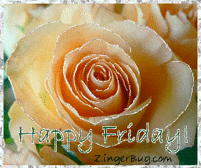 Happy Friday Peach Rose Glitter Graphic Glitter Graphic, Greeting ...