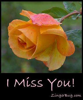 Miss You Quotes Graphics
