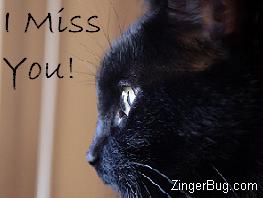 I Miss You Kitty Gif