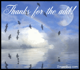 Thanks For the Add Rainbow Glitter Graphic, Greeting, Comment, Meme or GIF