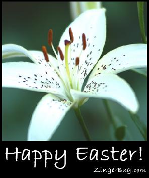 Easter Lily Memes