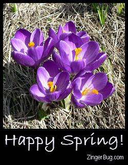 Happy Spring Crocus Glitter Graphic, Greeting, Comment, Meme or GIF
