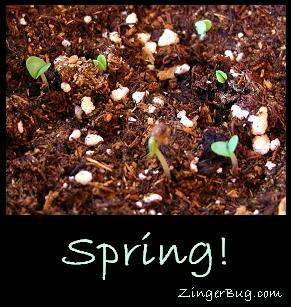Spring Sprouts Glitter Graphic, Greeting, Comment, Meme or GIF